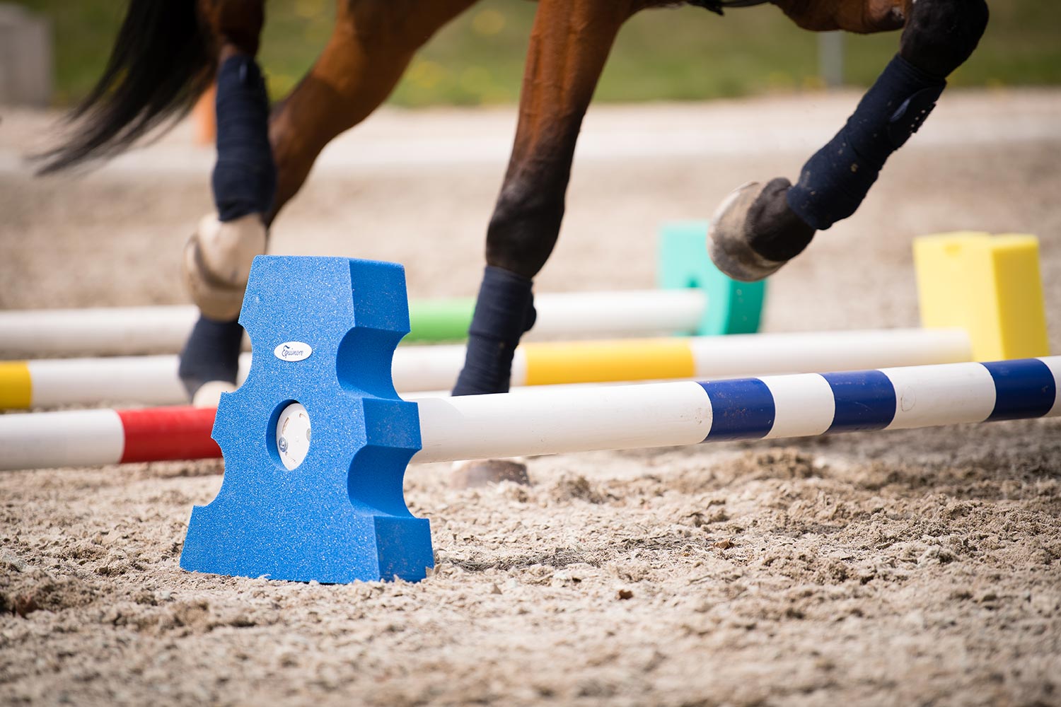 Cavaletti M - Equimore | verschiedene Farben | Reitsport